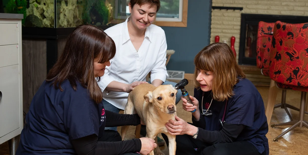 Minneapolis, MN 55416 Veterinary Jobs | Caravan Vet