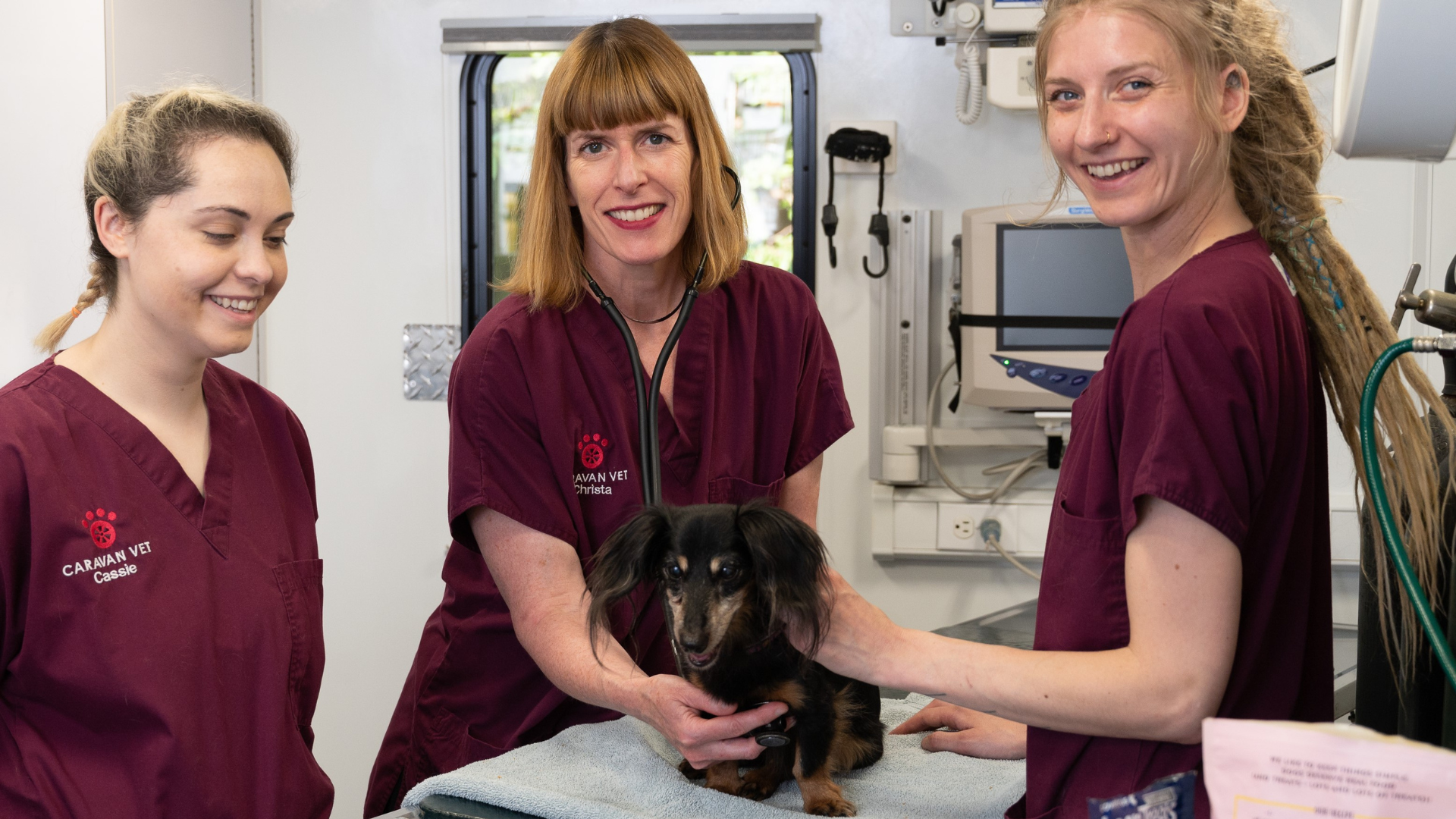 Caravan Vet Gallery | Vet Clinic In Minneapolis, MN 55416