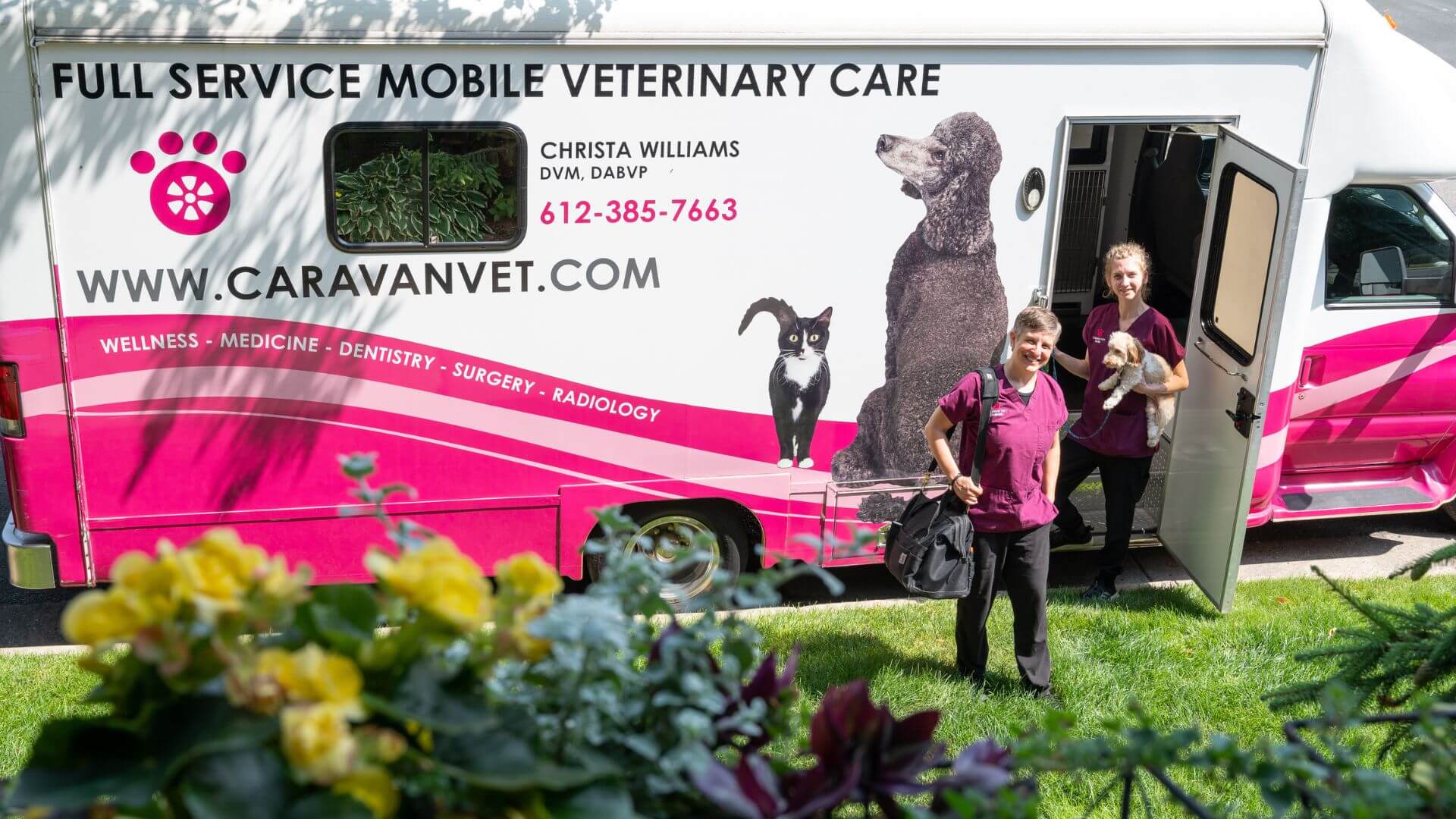 Mobile Vet Appointment In Minneapolis, MN 55416 | Caravan Vet